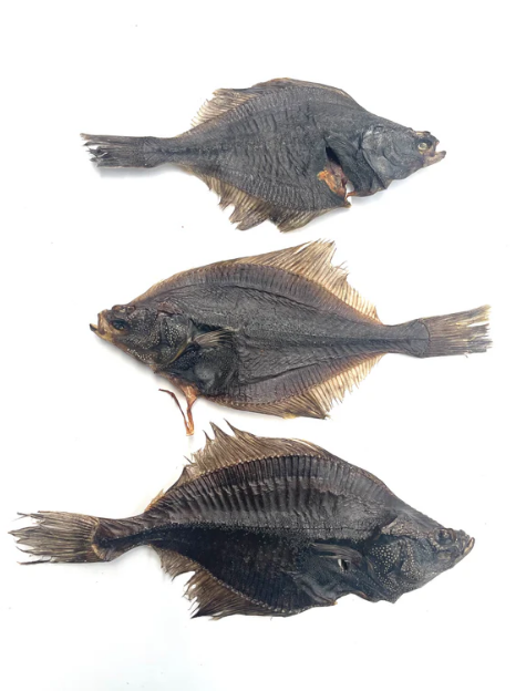 WHOLE DRIED PLAICE – Dog Meats Bone